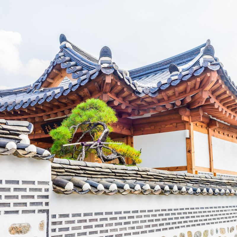 The Timeless Beauty of Hanok: Korea's Traditional Houses